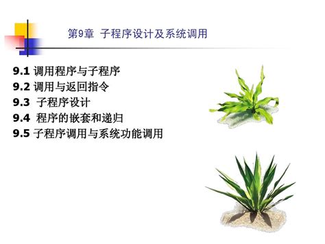 第9章 子程序设计及系统调用word文档在线阅读与下载无忧文档