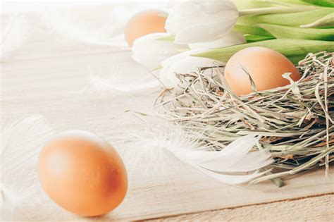 부활절 달걀 자연 봄 튤립바구니에 천연 색 달걀 해피 부활절 장식의 나무 탁자 배경에 흰색 깃털 축하 부활절 디자인 브런치에 대한 스톡 사진 및 기타 이미지 Istock