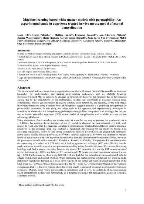 Pdf Machine Learning Based White Matter Models With Permeability An