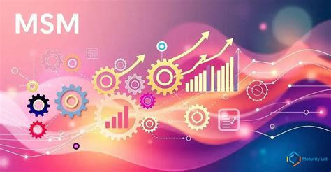 Msm Service Maturity And Process Optimization A Comprehensive Guide Msm Service Maturity And Process Optimization A Comprehensive Guide