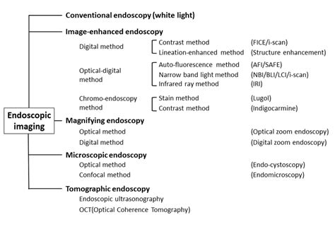 Classification Of Endoscopic Techniques Adapted From Ref 12