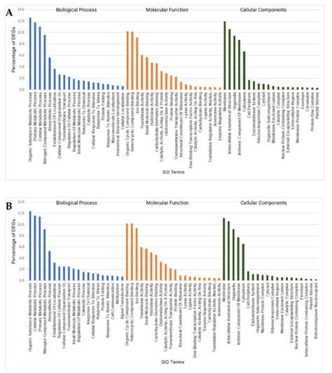 Gene Ontology Enrichment Analysis Of Degs From V Corymbosum Highly
