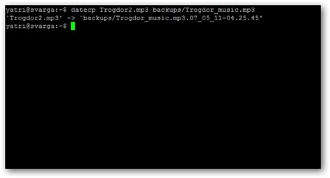 Le guide du débutant sur les scripts Shell les bases Azur Plus