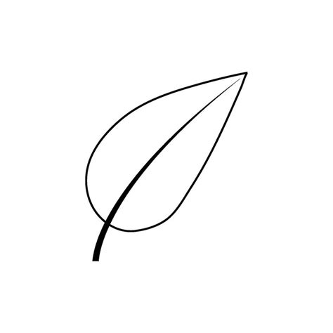 Outline Tree Leaf Vector Illustration Isolated On White Background