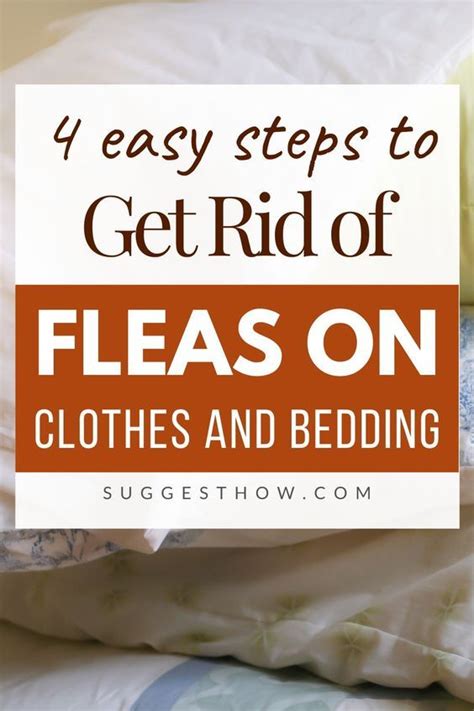 How To Get Rid Of Fleas On Clothes And Bedding Artofit