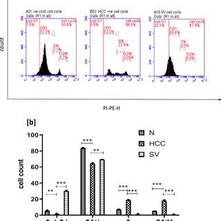 A Statistical Representation Of Cell Cycle Analysis Results At The End Download Scientific