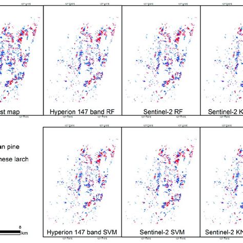 Flowchart Of The Tree Species Classification Procedure Abbreviations Download Scientific