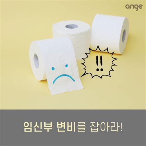 쾌변 기원 임신부 변비를 잡아라 임산부 변비 해결법 앙쥬b