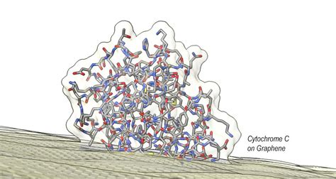 Molecular Simulation
