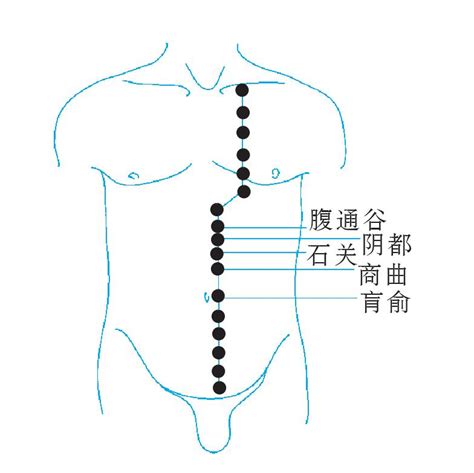 17 商曲 中医学 医学
