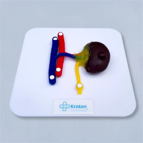 Laparoscopic Trainers Medical Technology Kroton Check