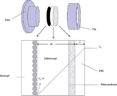 Principle And Structure Of Dgt Dbl Diffusive Boundary Layer C B