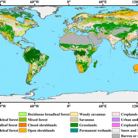 Map Of Global Land Cover Types In 2019 Download Scientific Diagram