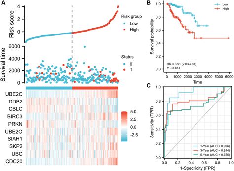 Identification And Validation Of Ubiquitin Proteasome System Related Genes As A Prognostic
