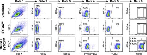 A Representative Gating Strategy For FACS Sorting To Set The