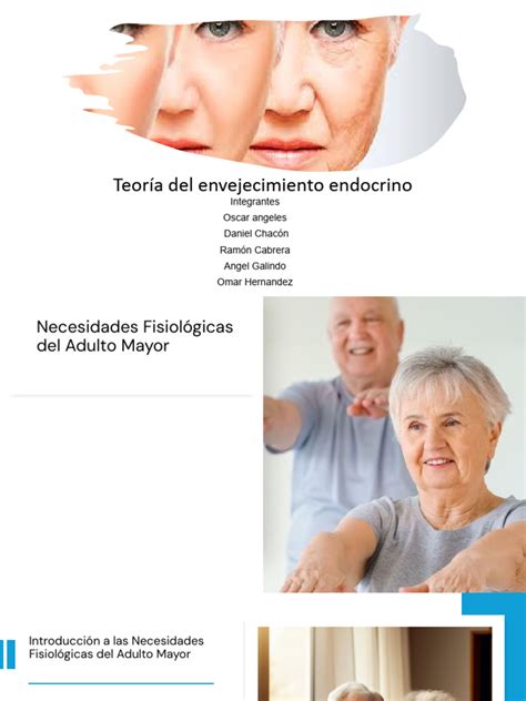 Necesidades Fisiologicas Pdf Nutrición Dieta Y Nutrición