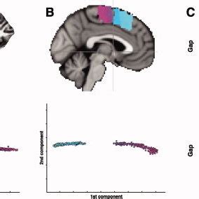 Laplacian Eigenmaps Of The Insula For Each Subject Laplacian Eigenmaps Download Scientific