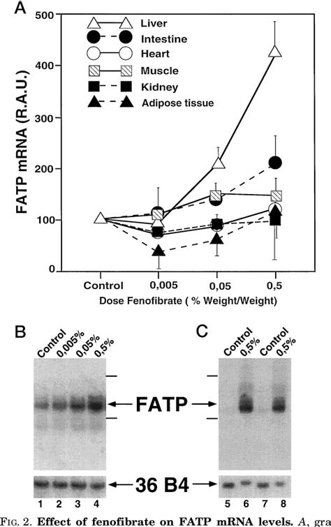 Brd1 Gene Semantic Scholar
