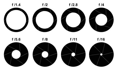 A Beginners Guide To Depth Of Field Focus