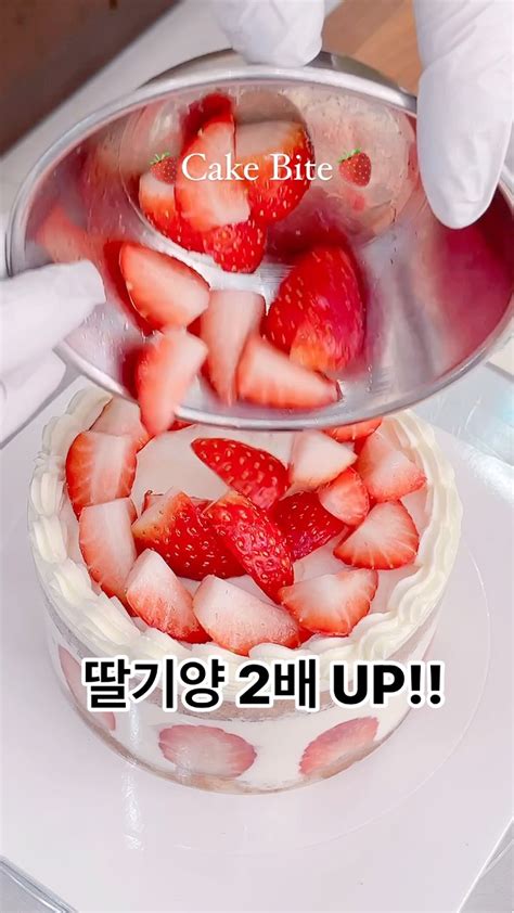 경주케이크 케이크한입 황리단길점 🍓 딸기 폭탄 💣 이 만큼 들어간다고 돌아온 25년시즌 딸기 케이크에는 딸기 양을 2배로 늘렸습니다🙌🏻🍓🌿 케이크 속과 위에도