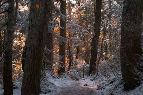 Пин от пользователя 𝓐𝓻𝓲𝓷𝓪 на доске Seasons в 2024 г Пейзажи Пленэр Таинственные места