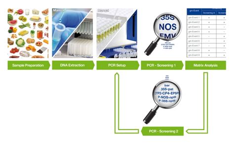 Gmo Food Testing Techniques