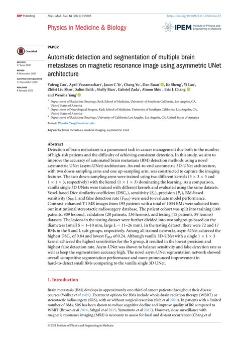 Automatic Detection And Segmentation Of Multiple Brain Metastases On Magnetic Resonance Image