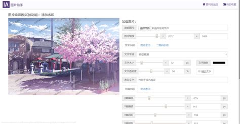 一文读懂图片助手imageassistant使用 童家小站