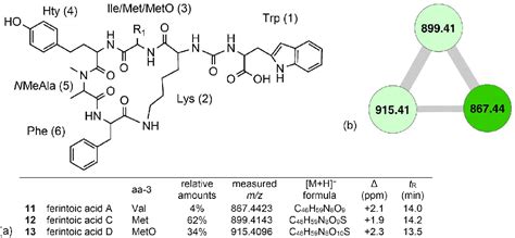 Figure 1 From Combined Lc Ms Ms And Molecular Networking Approach Reveals New Cyanotoxins From