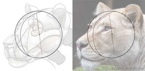 How To Draw A Big Cat Head Monika Zagrobelna