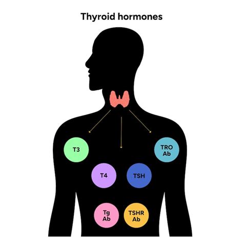 Hyperthyroidie Vecteurs Téléchargez Gratuitement Des Vecteurs De