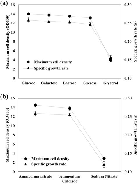 Optimization Of Carbon And Nitrogen Sources For Secretory Expression Of