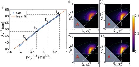 Quantitative Characterisation Of The Evolution Of The Al Cu Dendritic Download Scientific