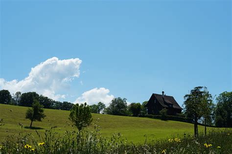 희소한 나무와 그 중 집이있는 작은 언덕이있는 여름 풍경 언덕의 경사면은 잔디로 덮여 있다 푸른 하늘에는 적정구름이 있습니다 0명에 대한 스톡 사진 및 기타 이미지 Istock