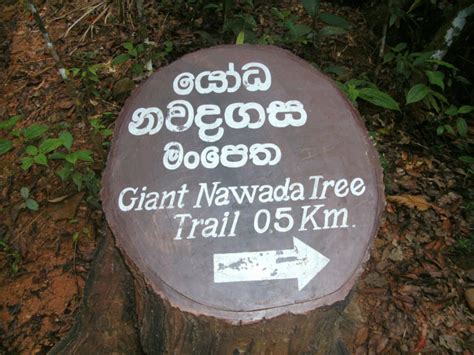 ජීව විද්‍යාත්මක ලෝකය සිංහරාජ අඩවිය