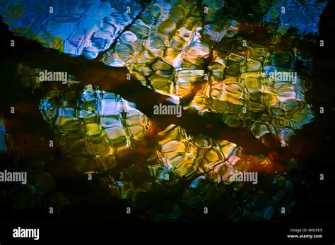 Tree Reflection In Water Stock Photo Alamy