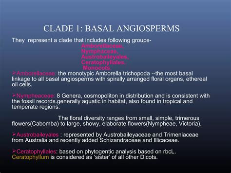 Angiosperm Phlogeny Group Taxonomy Classification Ppt