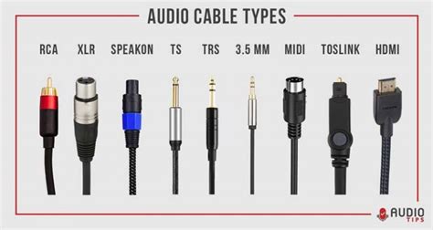 11 Audio Cable Types Explained 2024 With Infographic Audio Tips