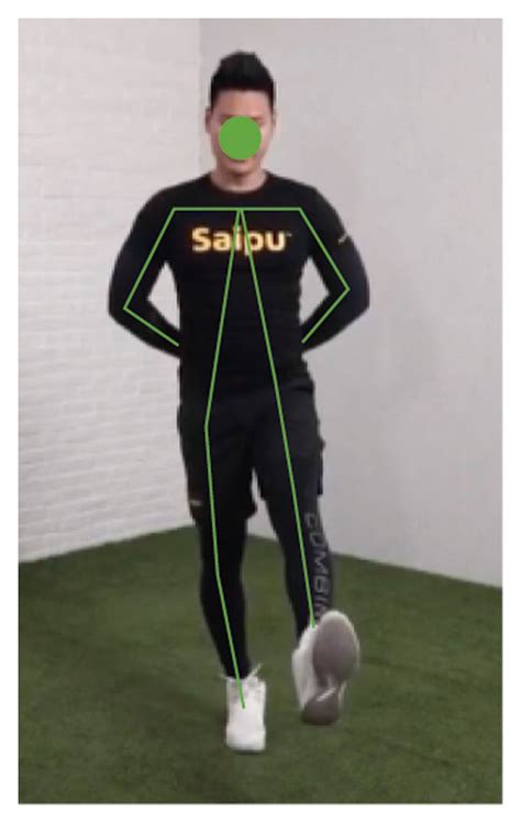Schematic Diagram Of Sports Training Posture Dataset Download Scientific Diagram