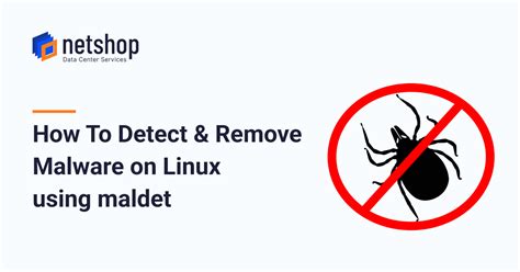 how to use maldet to scan and remove malware on linux server · netshop isp