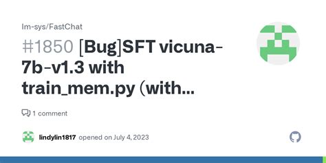 Bug Sft Vicuna B V With Train Mem Py With Flash Attention Can