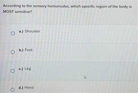 Solved According To The Sensory Homunculus Which Specific Region Of