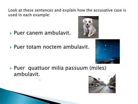 PPT Aim How Can We Understand New Uses Of The Accusative Case PowerPoint Presentation ID