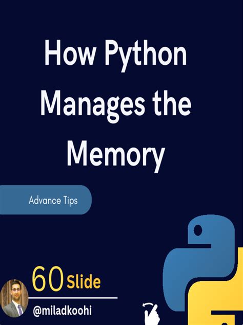 How Python Manages The Memory 1691830786 Pdf