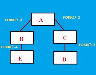 5 PROCESSES TO CHECK ARMSTRONG AND REVERSE OF NUMBER Unix Program Vipin S Blog