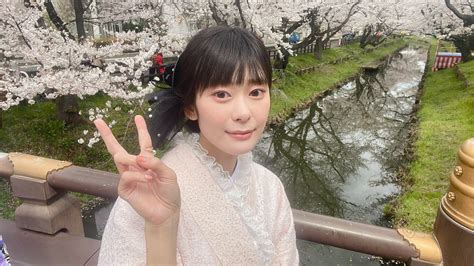 ももすももす Momosu Momosu On Twitter 引きこもりなので、友達と地元で花見をしてきた。決して化け猫になりに行っ