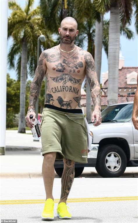 Adam Levine Full Body