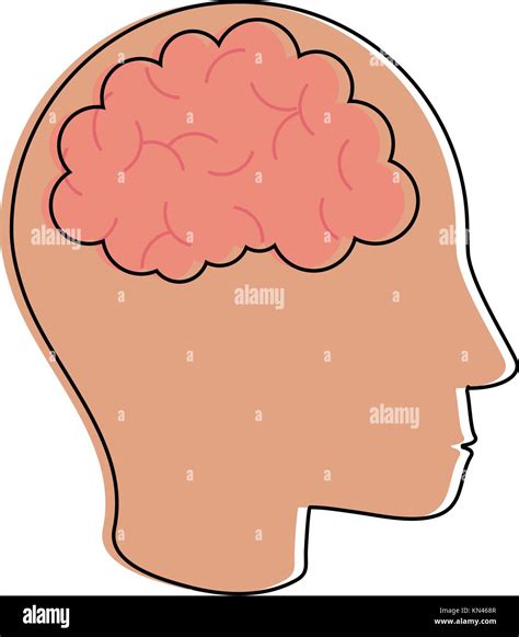 Human Brain Isolated Stock Vector Image And Art Alamy