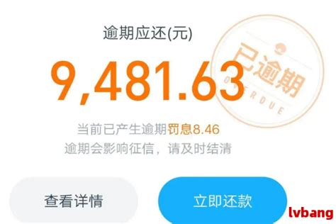支付宝借呗逾期46天，警示：支付宝借呗逾期46天，后果严重！逾期资讯资讯