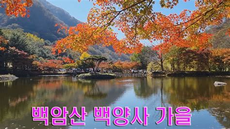 장성 백양사 가을풍경 11월 가볼만한곳 추천 관광 여행지 전남 장성 백암산 백양사 단풍길 Youtube